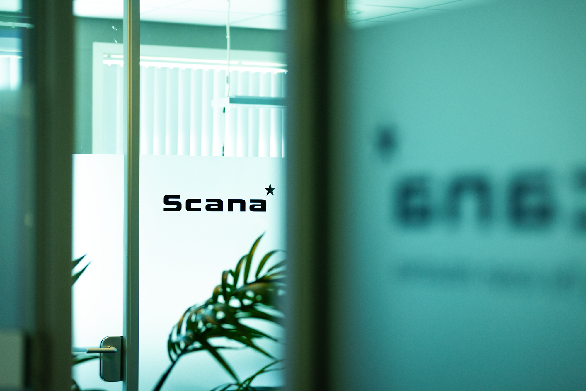 Process update - Scana